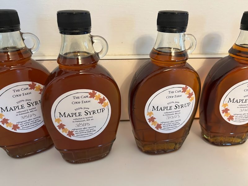 How to Make Maple Syrup - The Cape Coop